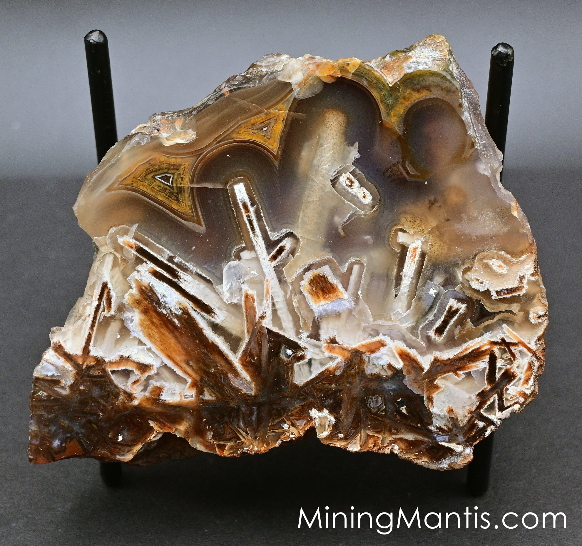 Turkish Stick Agate – Mining Mantis